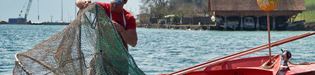 Fischerei - Kanton Luzern